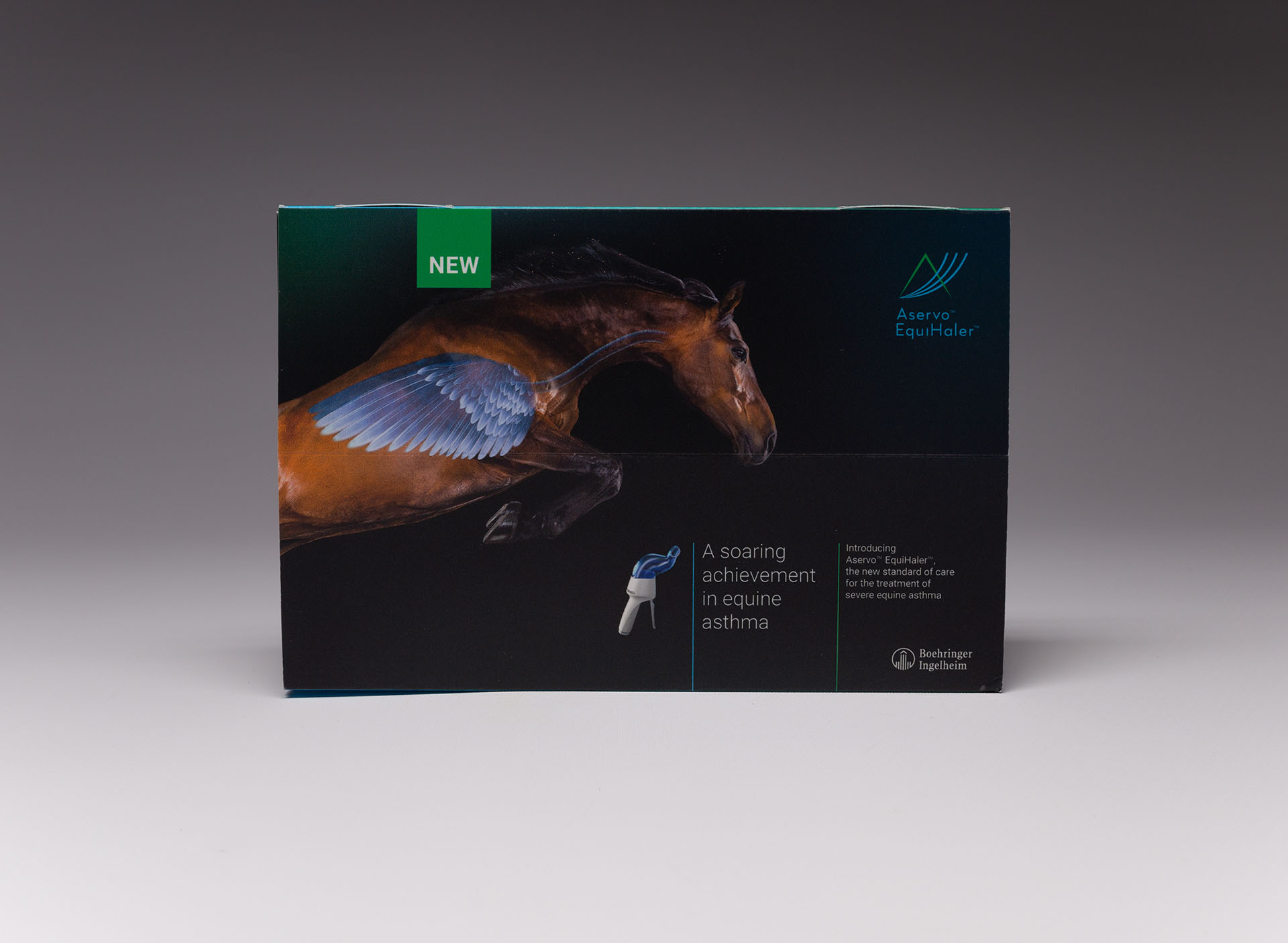 Aservo® EquiHaler® Video Display - Information Packaging