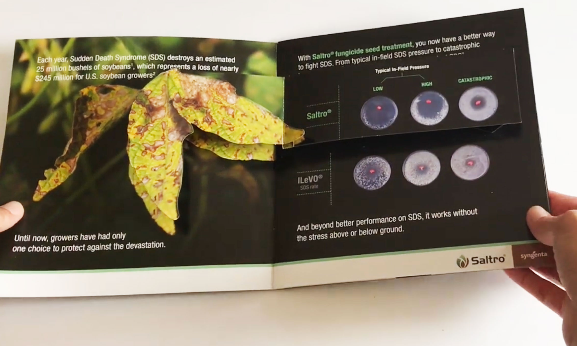 Syngenta Interactive Brochure - Information Packaging
