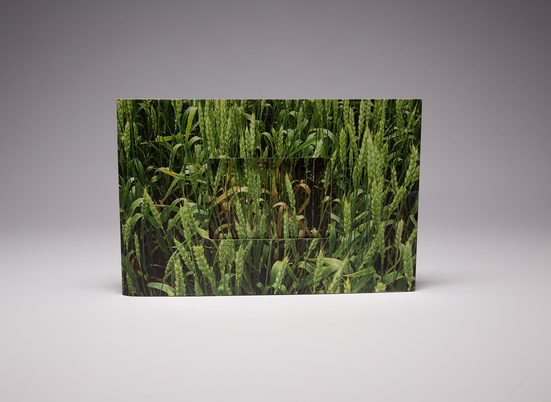 Bayer CropScience 3 Phase Changing Picture - Information Packaging