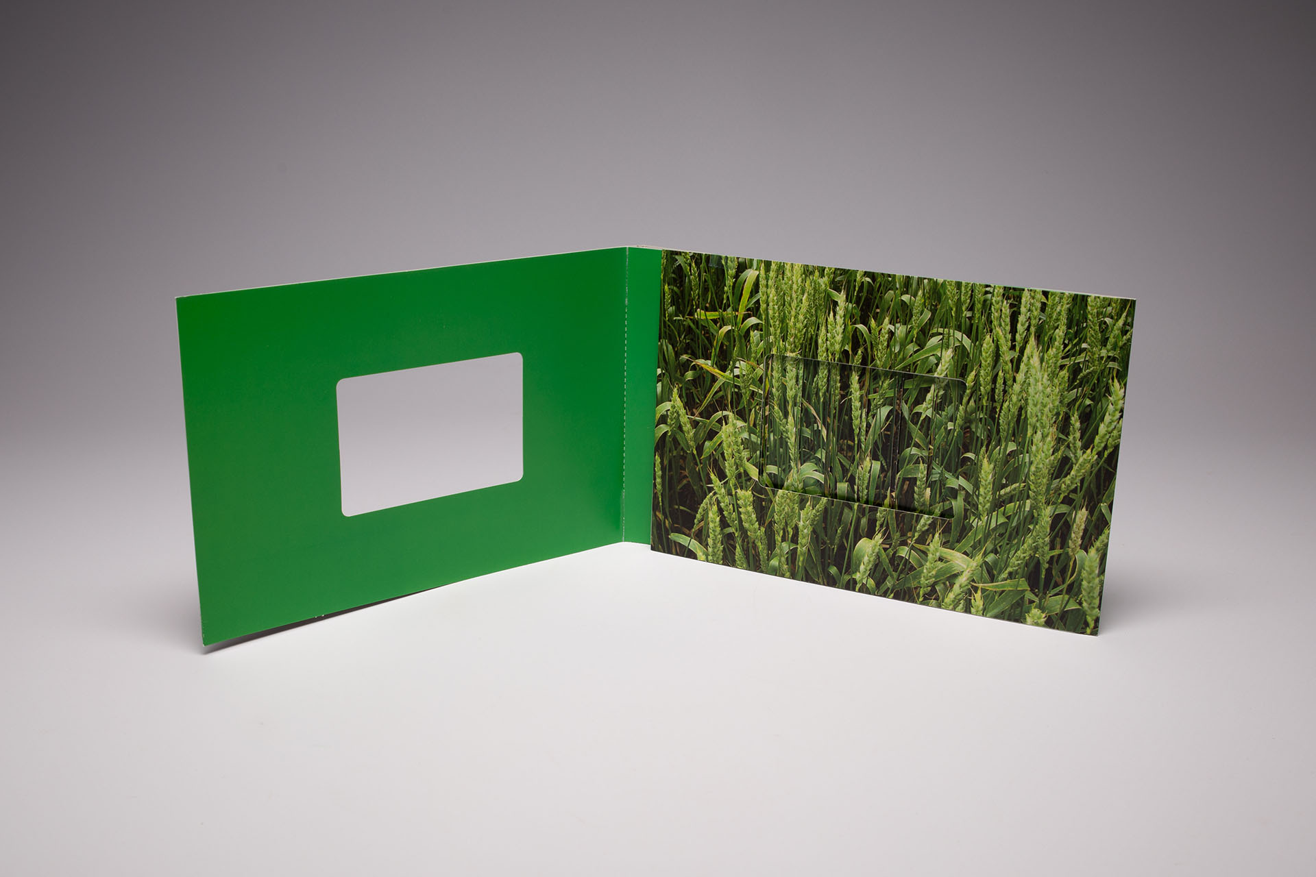 Bayer CropScience 3 Phase Changing Picture - Information Packaging