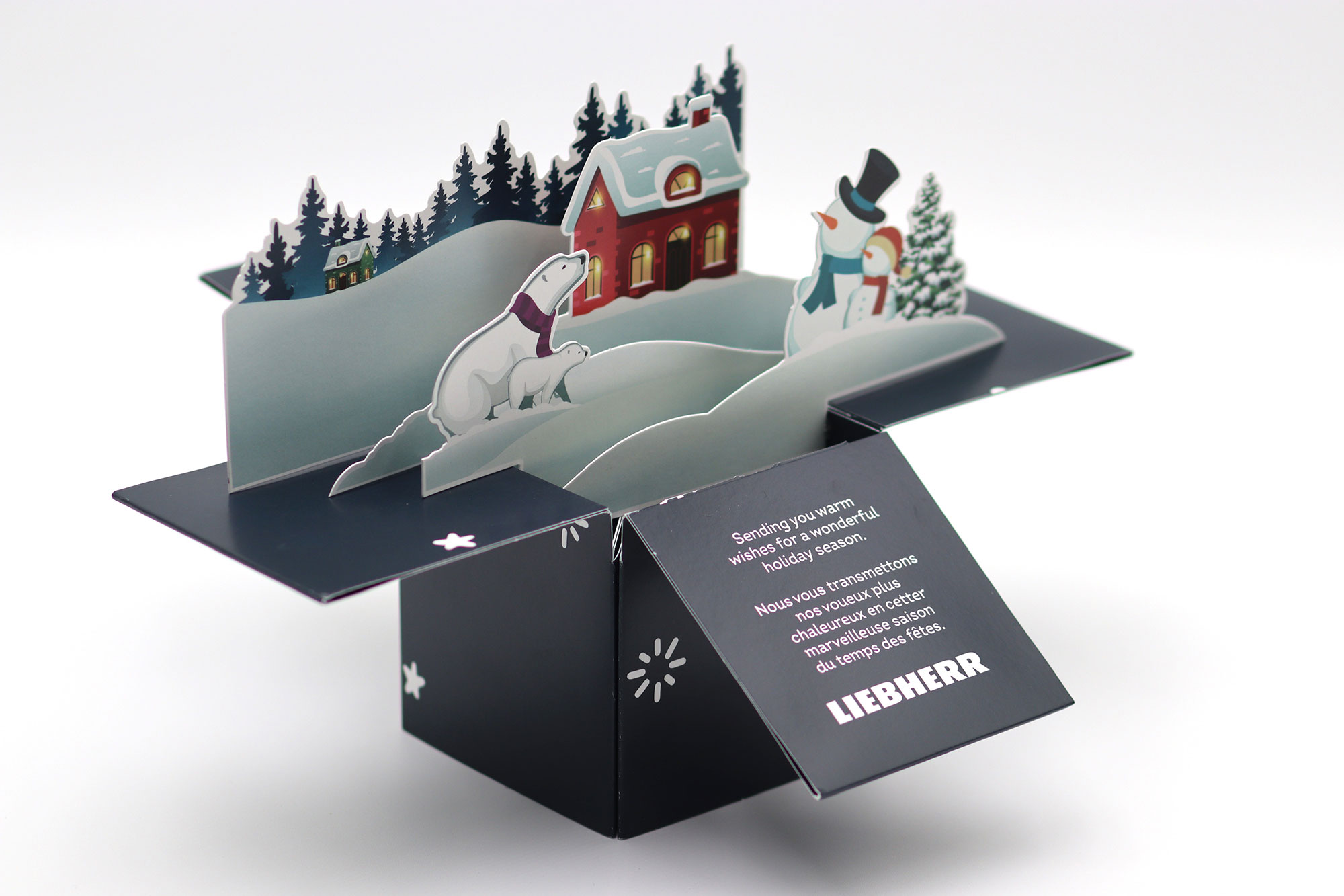 Liebherr Group Pop Up Holiday Gift Box Card - Information Packaging