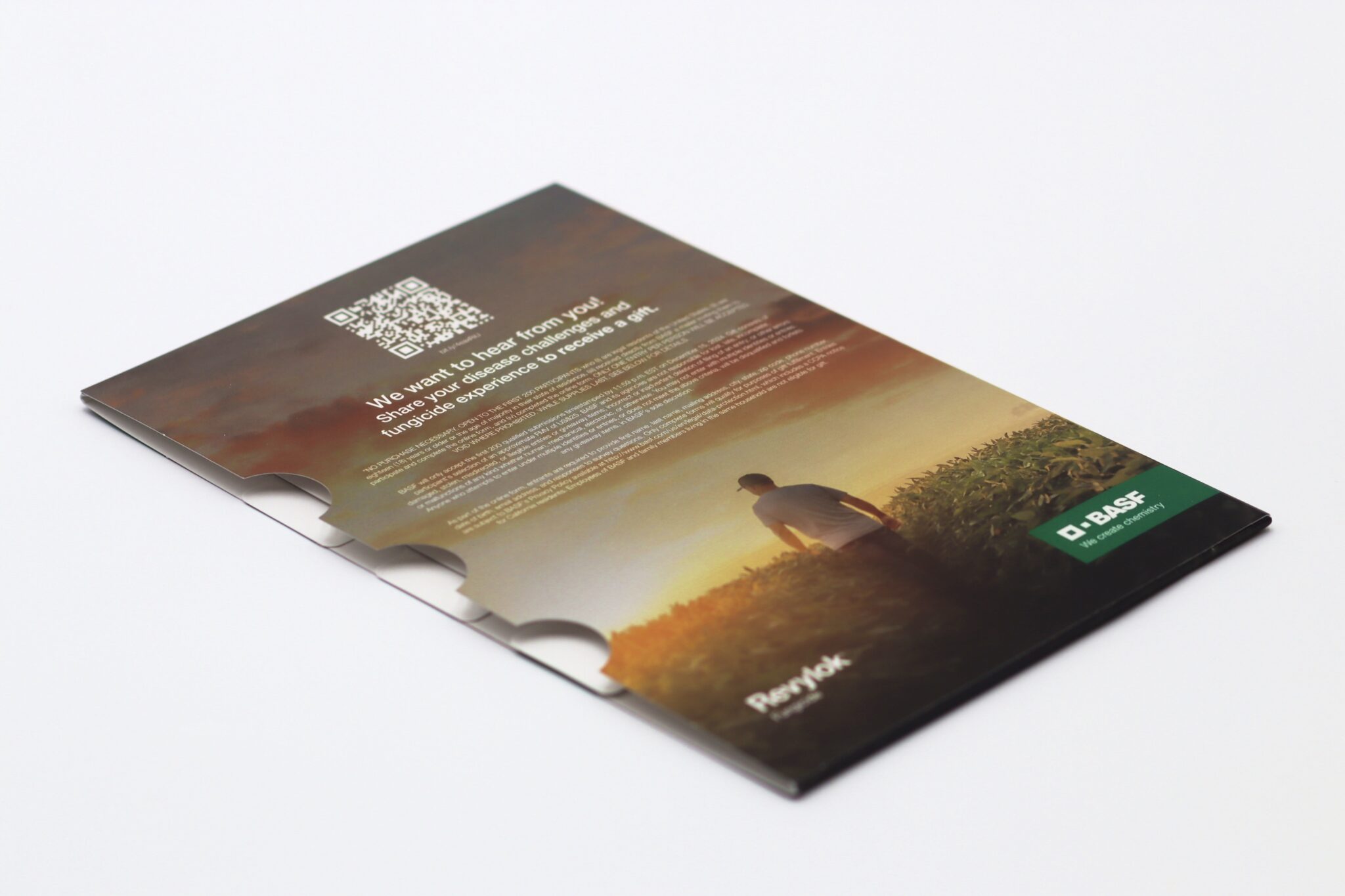 BASF Reference Guide - Information Packaging